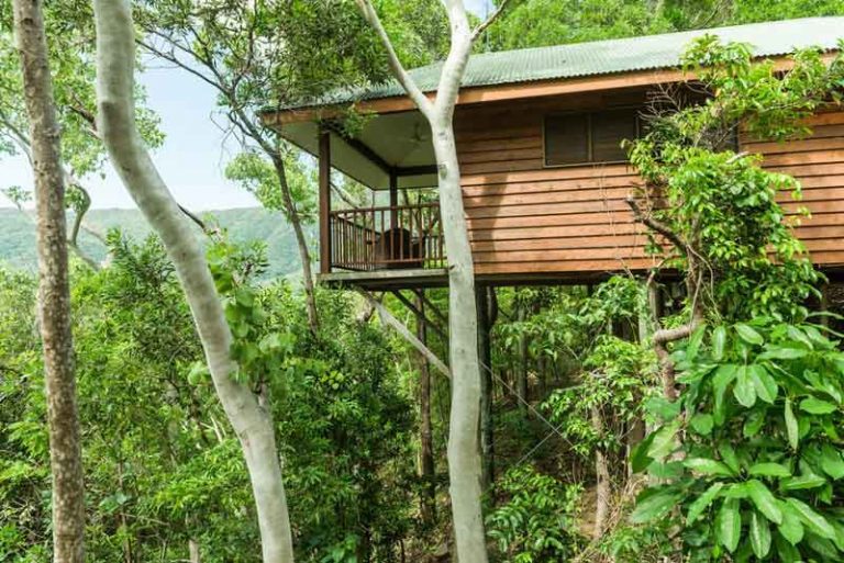 Thala Beach Nature Reserve | Stunning Eco Resort in the Daintree